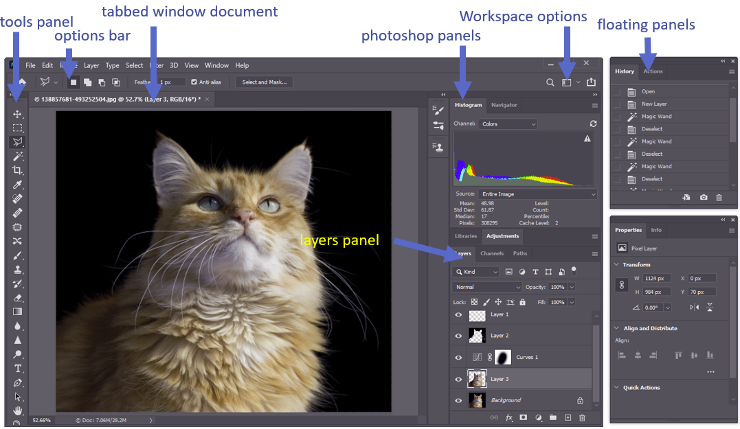 The Photoshop Workspace | WCC Resources