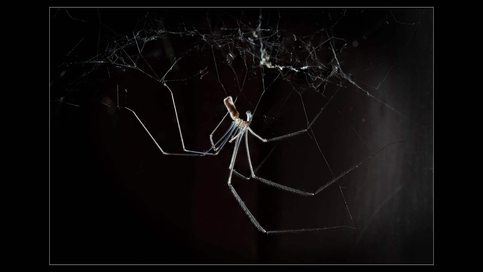 WCC competition entries | WCC Resources